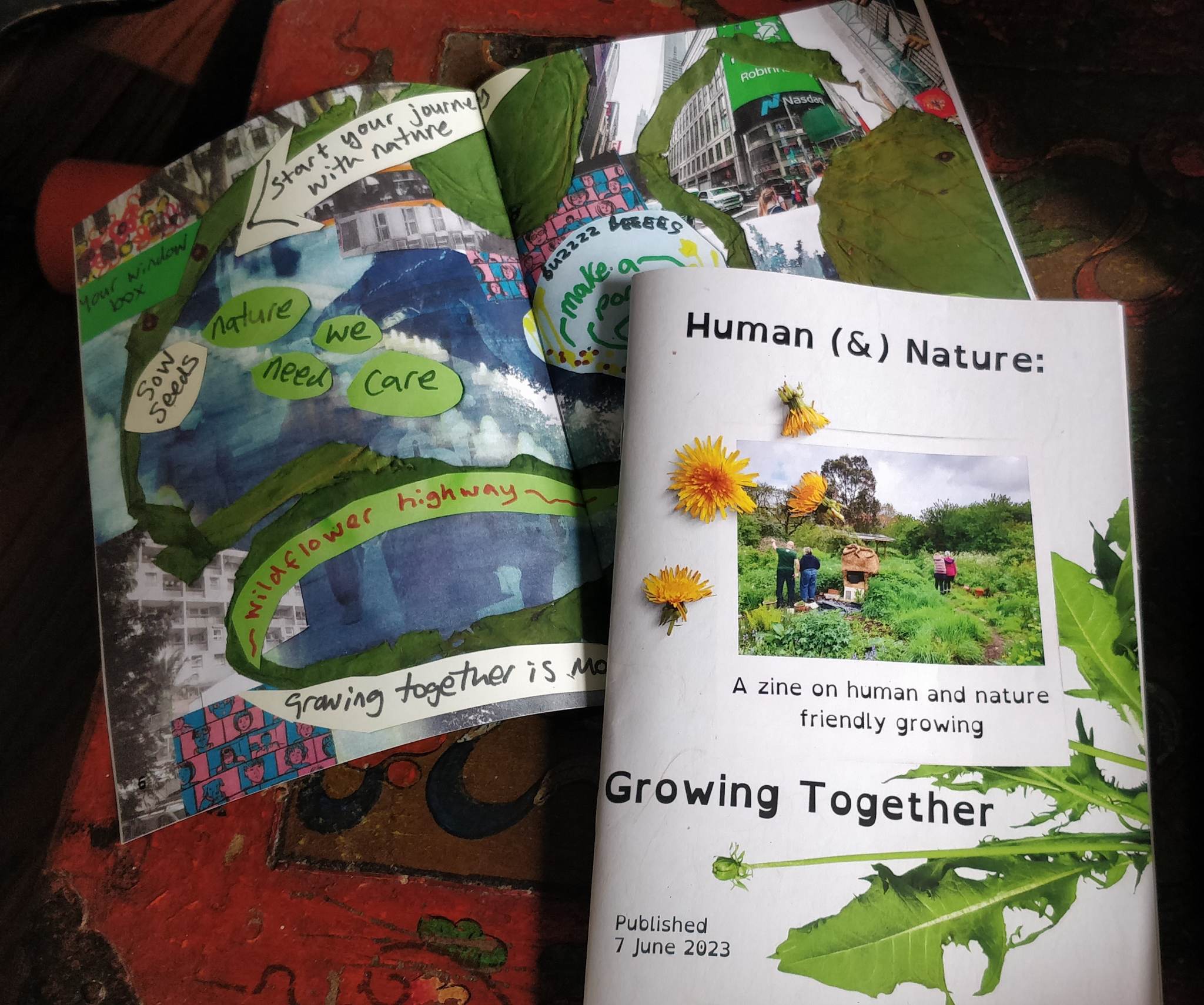 Human and nature friendly growing - Bristol Climate & Nature Partnership