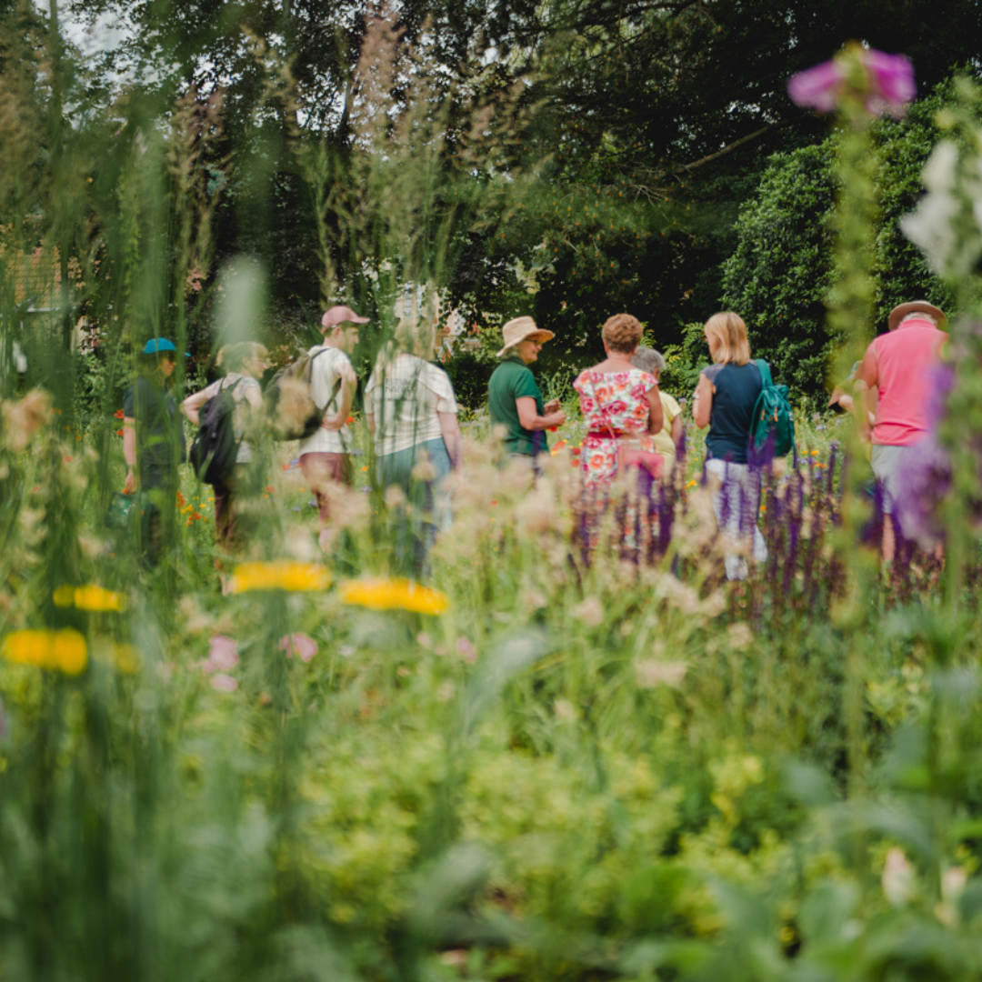 West of England launched country’s first nature recovery strategy ...