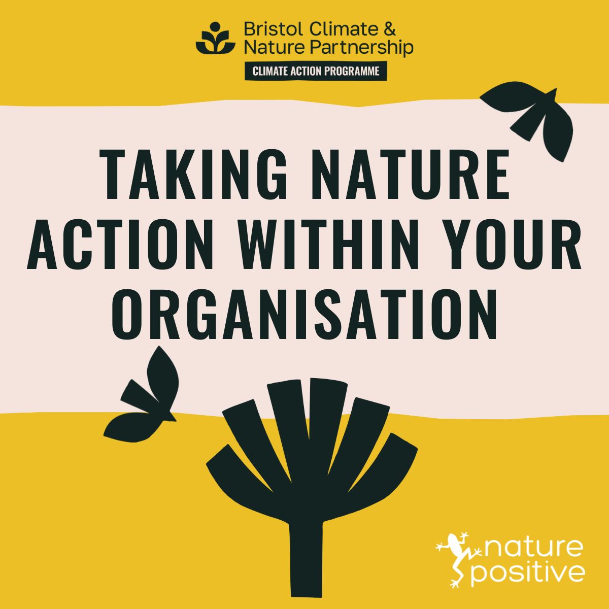 Taking nature action within your organisation - Bristol Climate ...